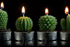 Cactus Tea Light Candles: Set of 16 mini cactus candles