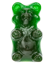 Gummy Grizzly Bear: The Wild Side of Candy!