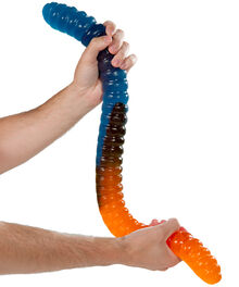 World's Largest Gummy Worm: We've got the largest selection.