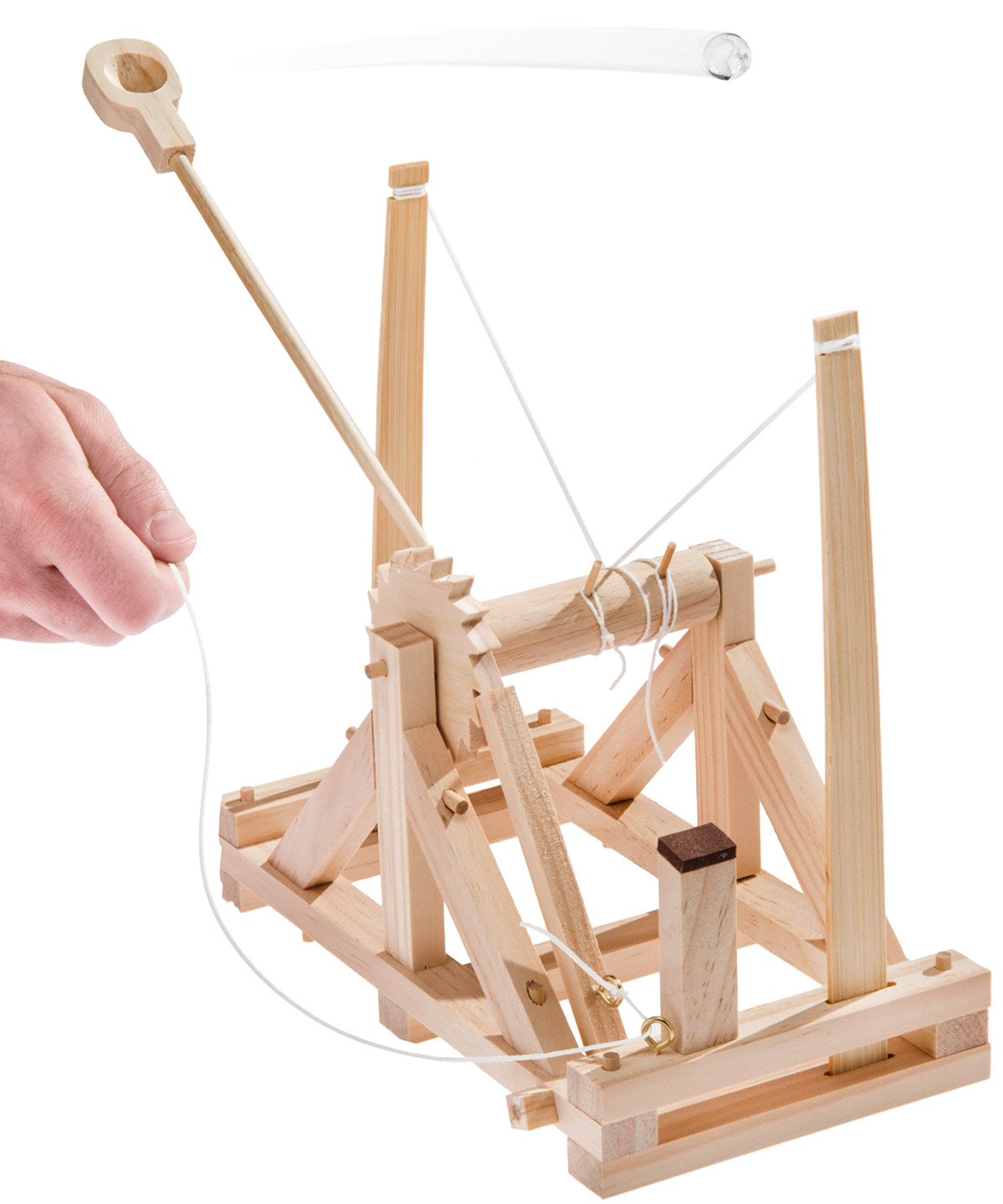Da Vinci's Catapult: Build a wooden desktop siege engine.