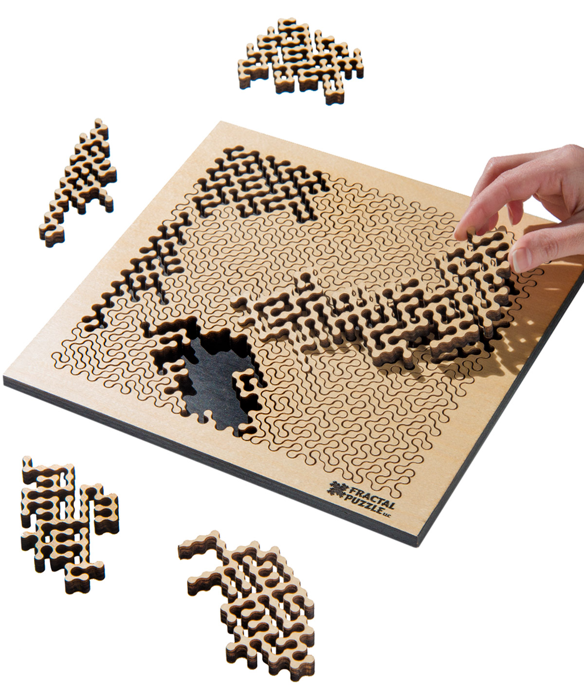 Fractal Puzzle: Mind-bending jigsaw puzzle with curvy pieces.