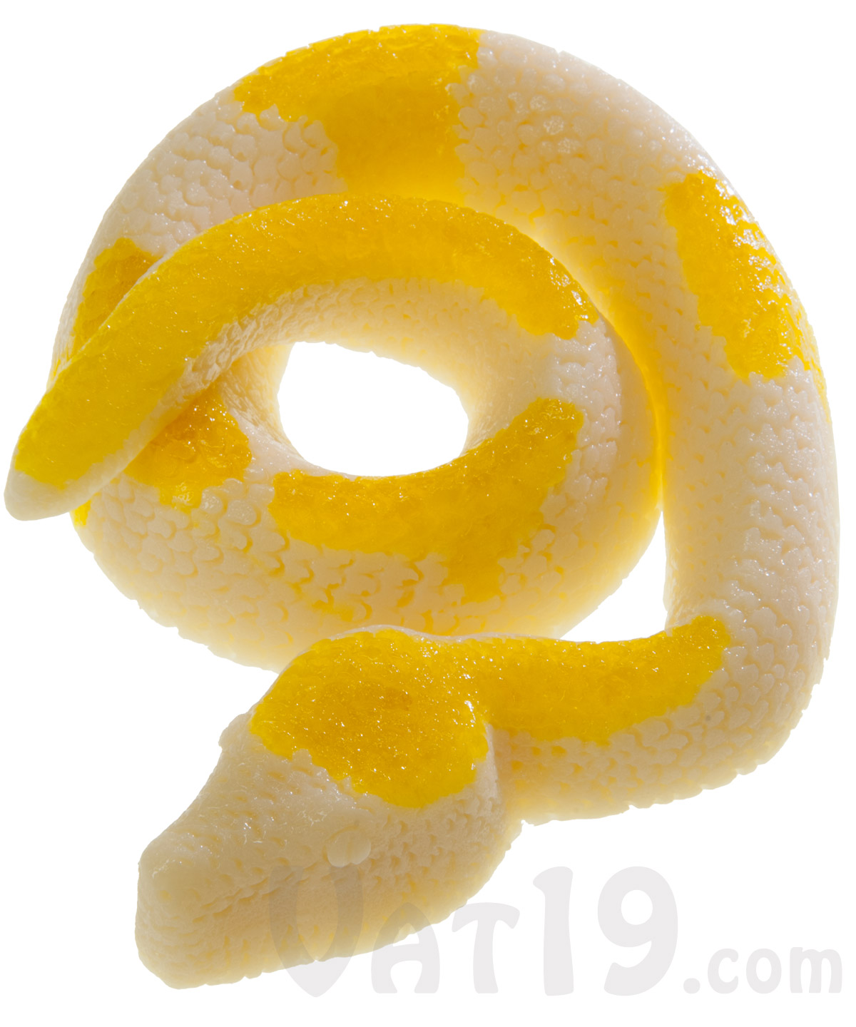 Giant Gummy Snake: Two-toned candy snake is over 2 feet long.