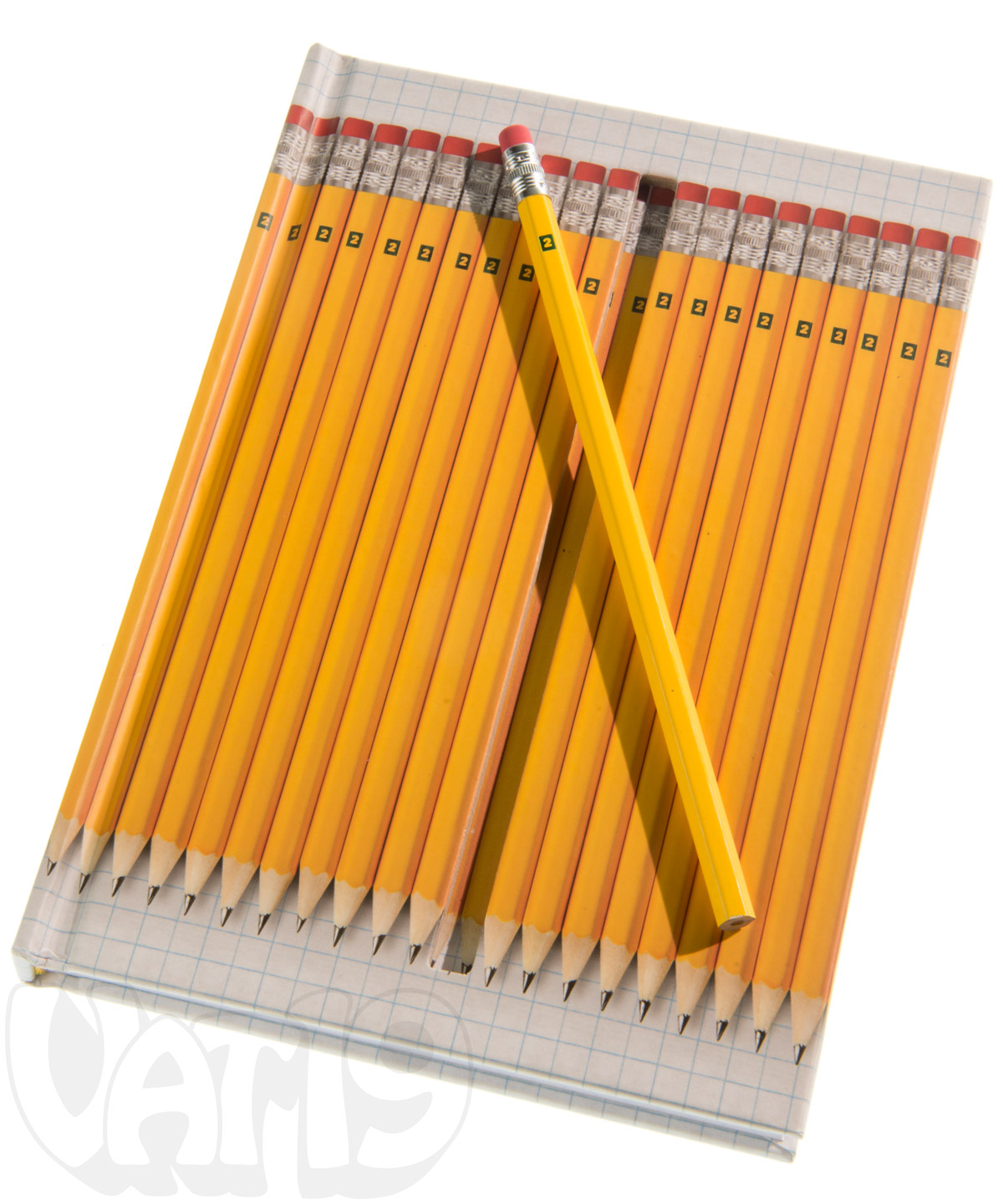 Hidden Pencil Notebooks: 144 page notebooks with built-in pencil storage.
