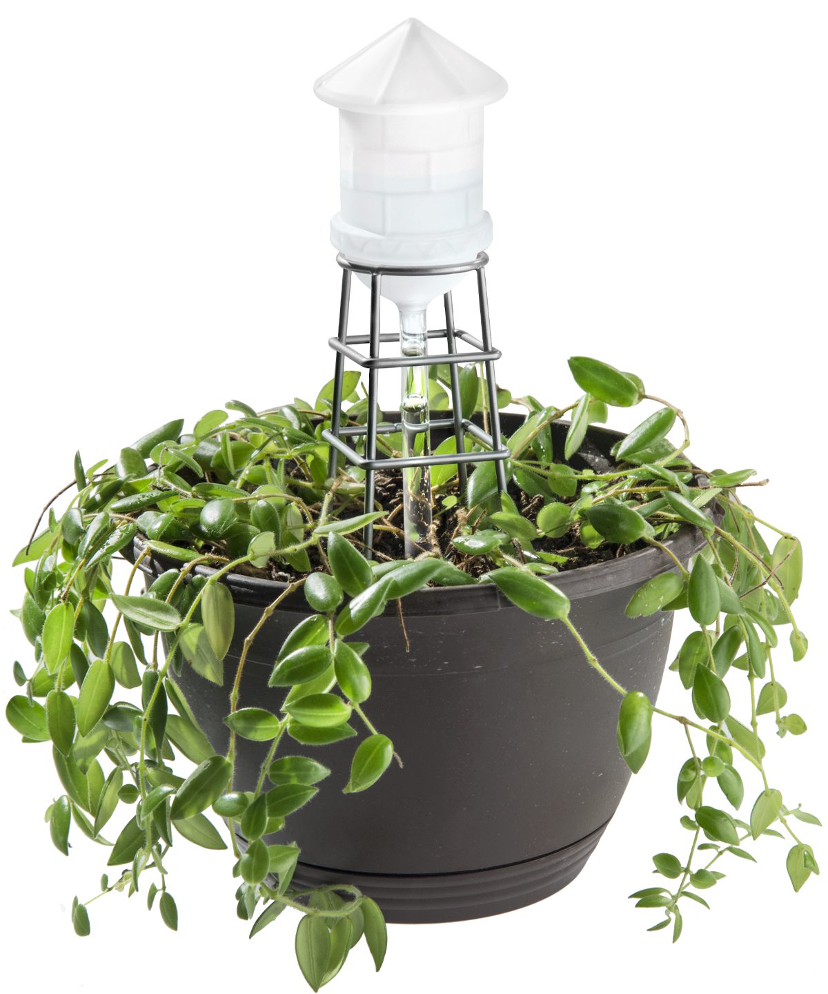 Plant Water Tower: Hydrate your urban herbs.