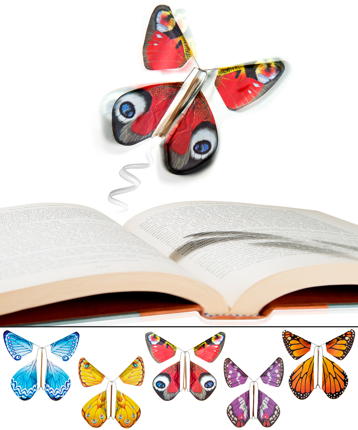 The Magic Butterfly: A flying surprise for your greeting cards.