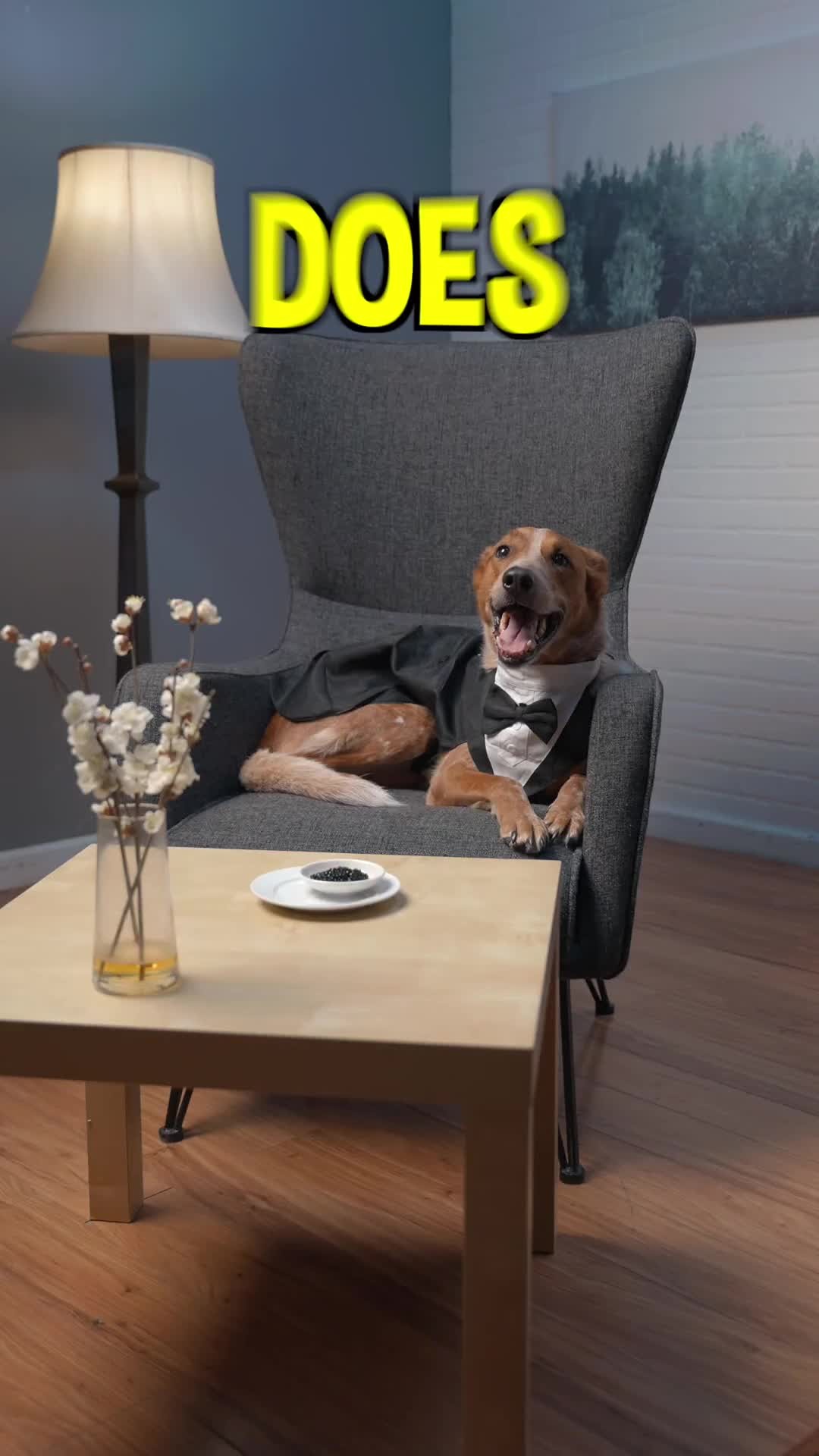 Vat19.com: Unique Gifts and Unusual Gift Ideas